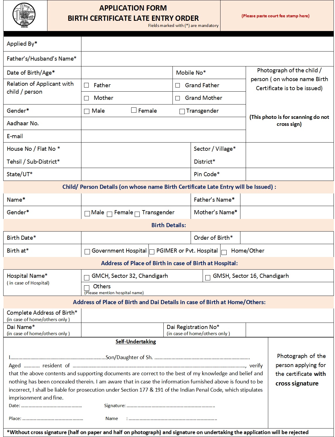 Official Birth Certificate Template Official Birth Certificate Template