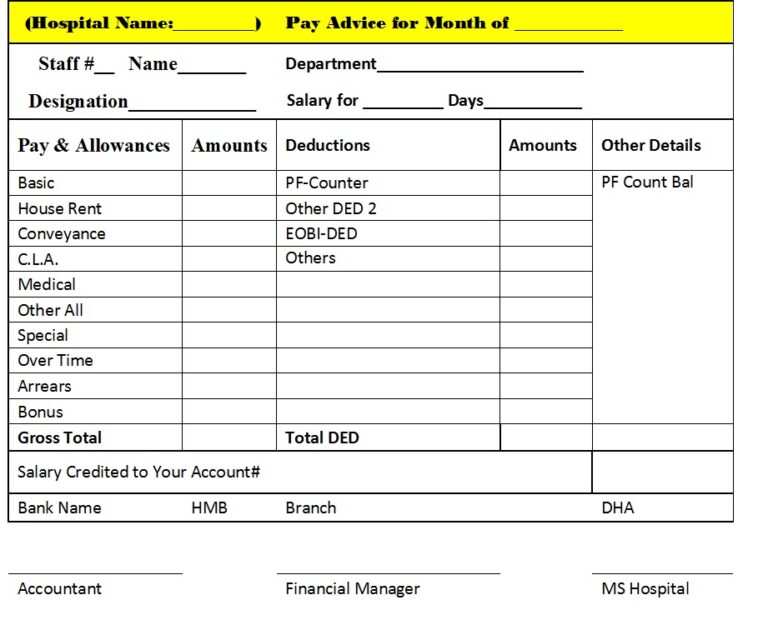 Hospital staff Pay Slip Template - Excel Word Template